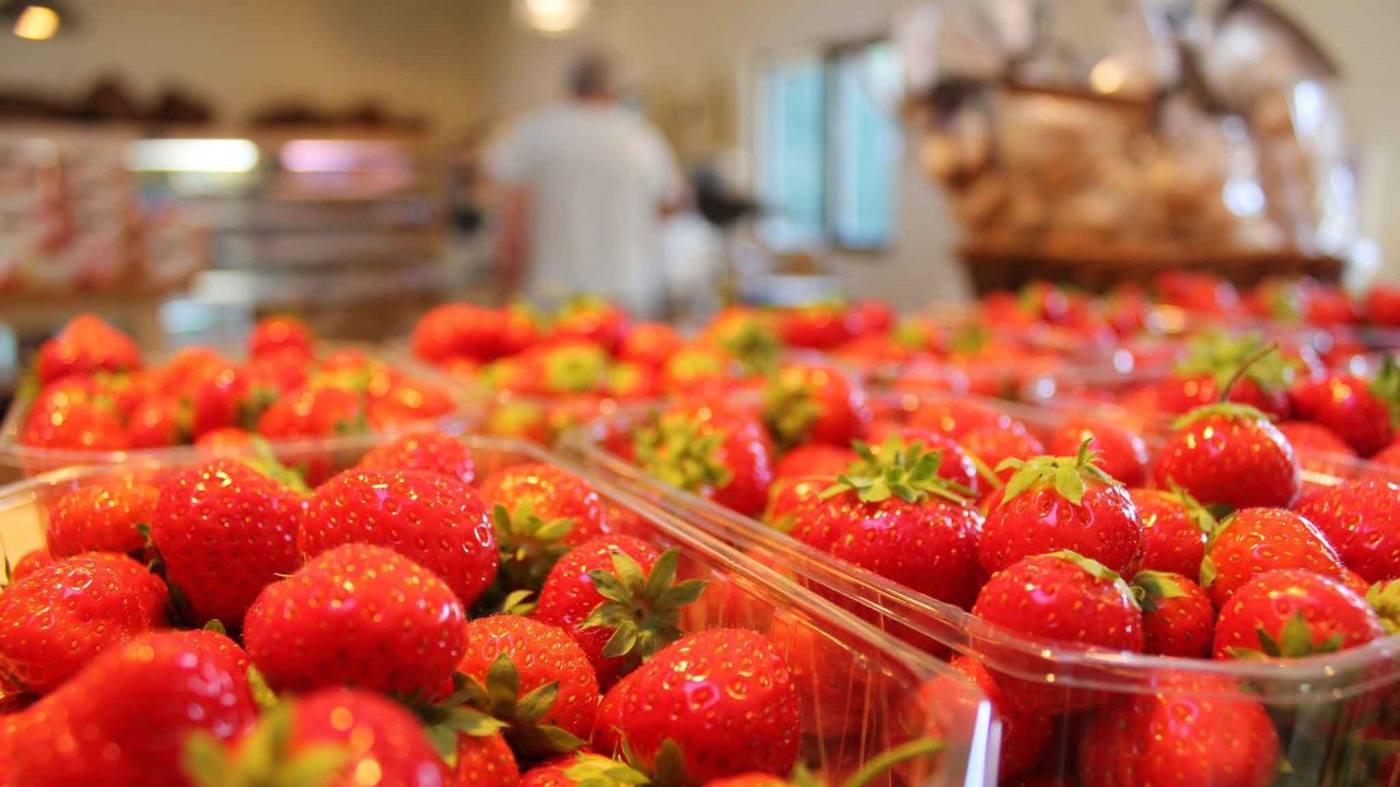 PYO Fruit & Vegetables Gloucestershire Primrose Vale Farm Shop